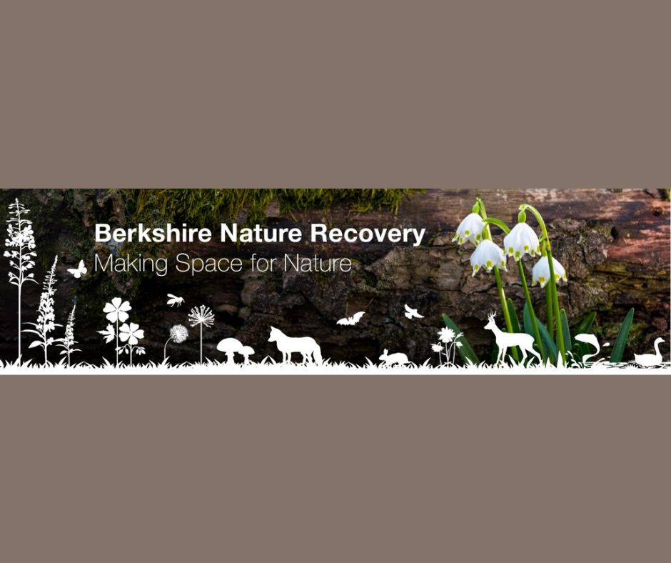 Have your say on the Berkshire Local Nature Recovery Strategy ...